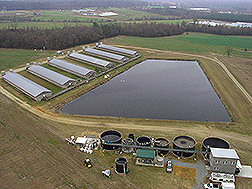 New Method Allows Efficient, Earth-Friendly Use Of Hog Wastewater