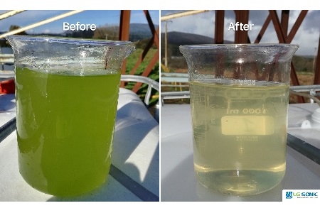 The Next Level Solution For Algae Control In Wastewater