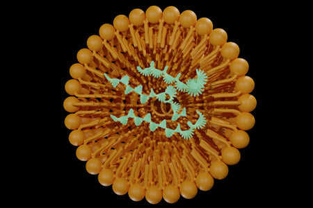 The Promise Of Gene Silencing A Primer On siRNA