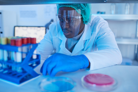 Stem Cell Cultivation In Single-Use Stirred Tank Bioreactors