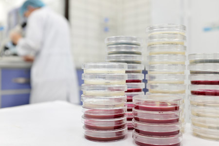 Environmental Monitoring In The Manufacturing Of Cell And Gene Therapies