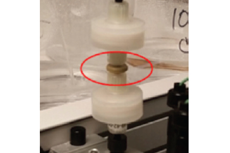 Evaluation Of Protein Capture Devices Used In-Series For Monoclonal ...