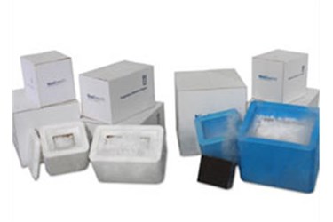 Pre-Qualified Frozen Transportation Solutions