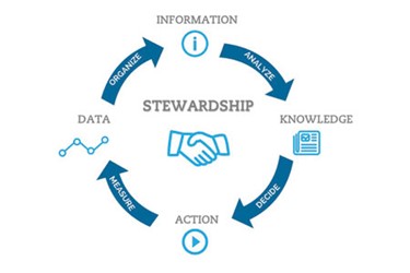 Data Driven Solutions