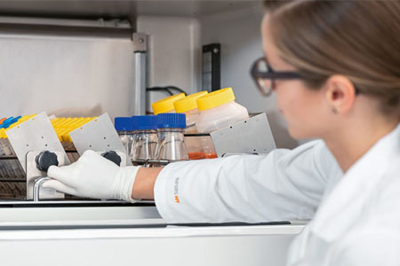 Everything You Ever Wanted To Know About Cell Culture Process Transfer