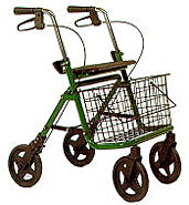 The Evolution Walker