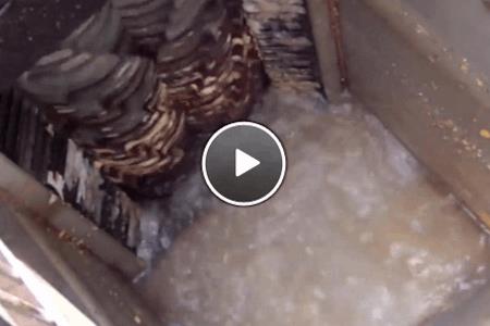 Vertical Auger Monster