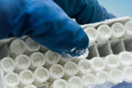 Cold Chain Logistics