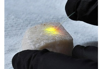 Intracellular Microlasers Could Allow Precise Labeling Of Up To A ...