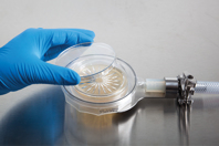 Viable Monitoring Solutions To Prepare Your Contamination Control ...