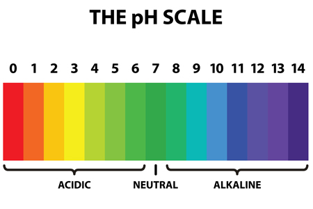 The Importance And Impact Of Accurate pH Measurement