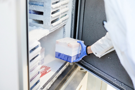 Navigating Cold Storage Solutions A Practical Guide To Help Choose The ...