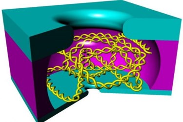 DNA 'Cage' Could Improve Nanopore Technology