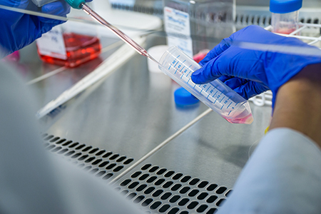 Raw Materials In Upstream Bioproduction Challenges And Solutions