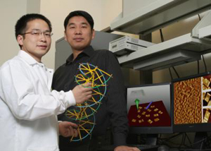 Nanotechnology Innovation May Revolutionize Gene Detection In A Single Cell