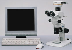 SZX7: Zoom Stereo Microscope
