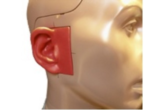 Study Reveals Potential Breakthrough In Hearing Technology