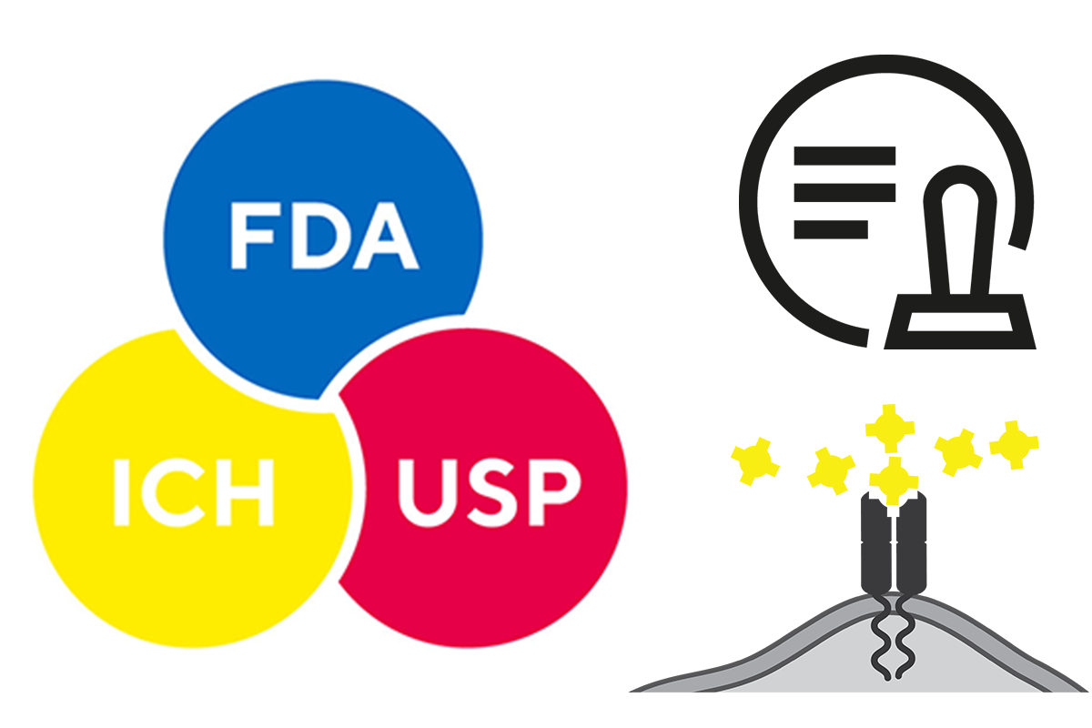 Harmonizing Regulatory Guidelines For Assay Validation A Focus On ...