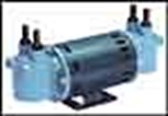 Dual Head Vacuum Pump