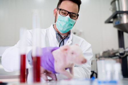 Characterization Of The Sinclair Nanopig For Biopharmaceuticals Safety ...