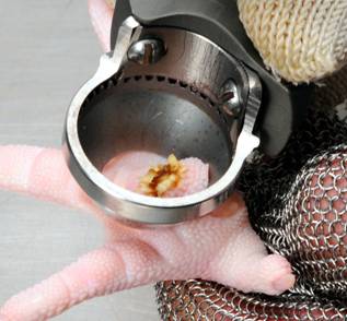 Whizard Series II Trimmers Dramatically Improve Product Margins In ...