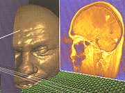 MuSE Development System