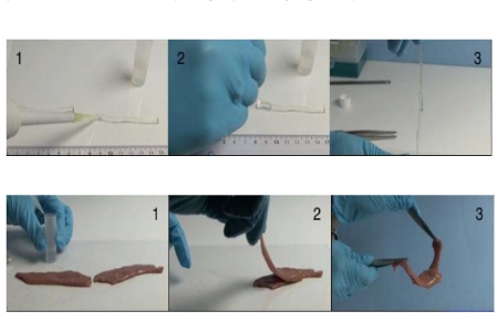 Revolutionary Method For Gluing Gels And Biological Tissues