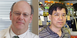 Scientists Identify Gene In Breast Cancer Pathway
