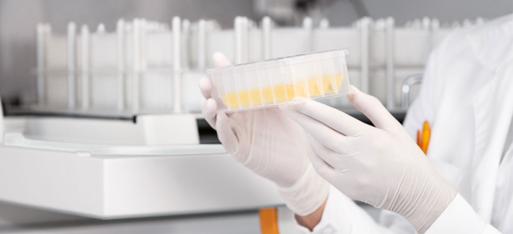 Multitron Incubation Shaker- For Uninterrupted 24/7 Operation And ...