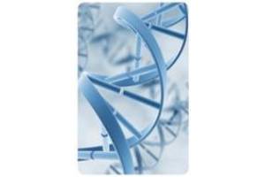 Announcing The Validation Of Proinflammatory And Cytokine Multiplex ...