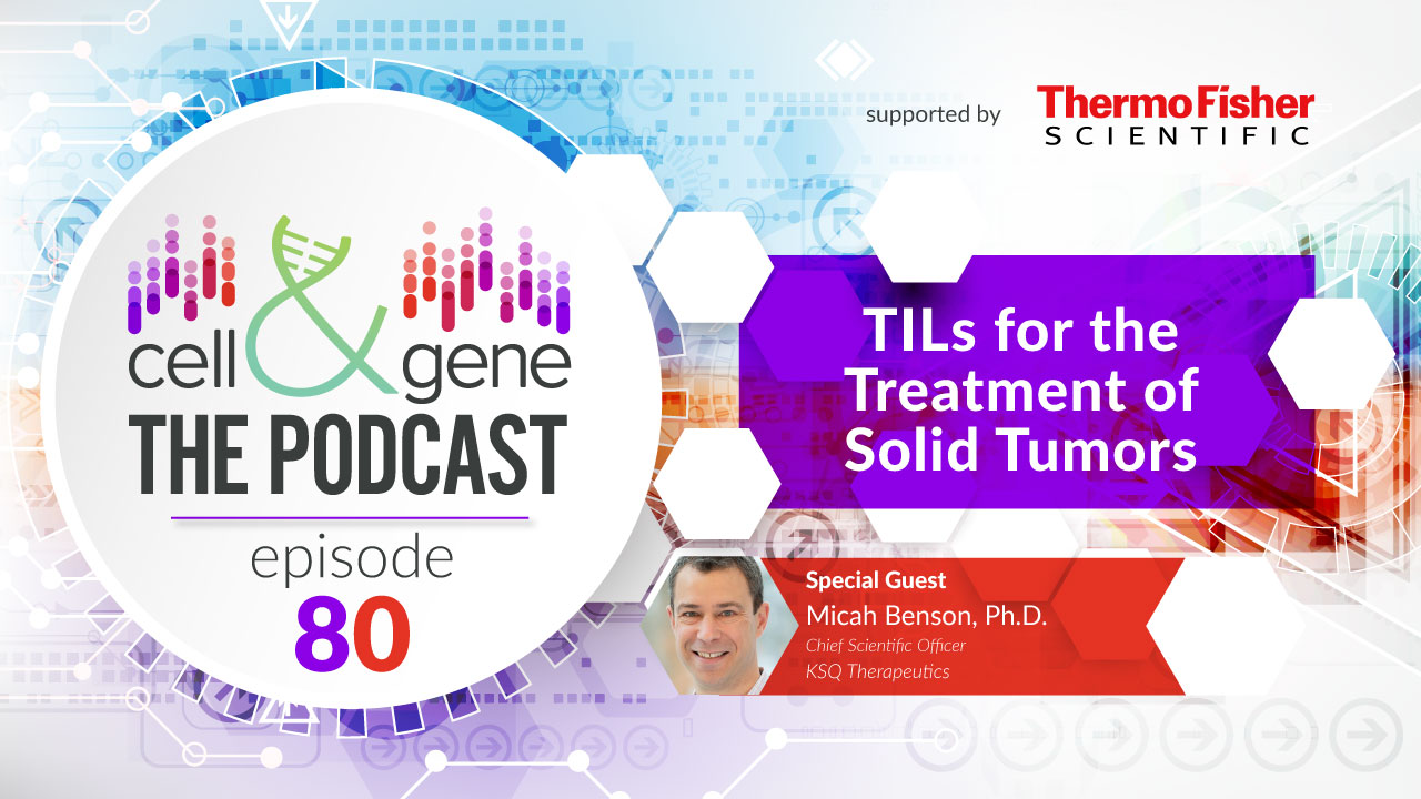 TILs for the Treatment of Solid Tumors with KSQ Therapeutics Micah Benson PhD
