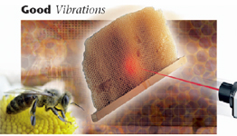 Dancing Bees Generate Vibrations In The Honeycomb As A Means Of ...