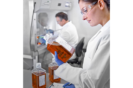 Cell Culture Titer Protein Quality