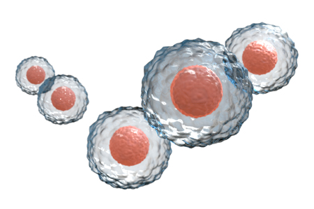 Suspension Culture Improves iPSC Expansion And Pluripotency Phenotype