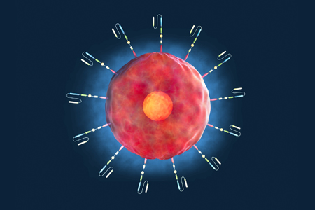 Reliable Proliferation And Differentiation Of Desired T Cell ...