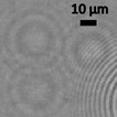 UCLAs New Nano-Lens Microscopes Can Detect Viruses Other Objects At ...