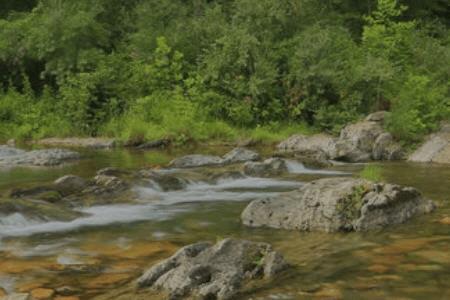 First-Of-Its-Kind Interactive Map Brings Together 40 Years Of Water ...