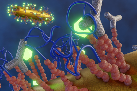 The Global Market Landscape For Peptide Drug Conjugates