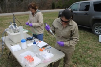 Bacteria The Newest Tool In Detecting Environmental Damage