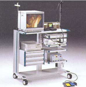 Work 'n' Roll Endo-Cart Ia