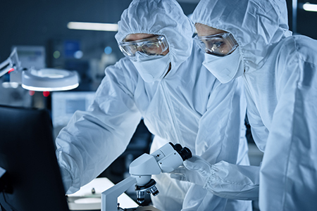 Improving The Overall Efficiency Of Cell Line Development