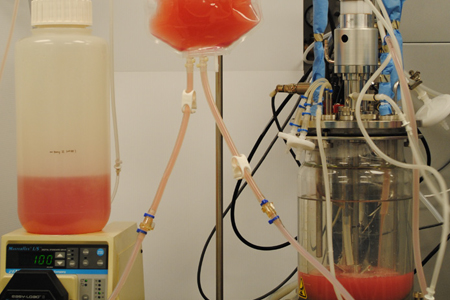 Allegro Microcarrier Delivery System (AMDS)