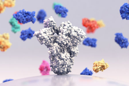 Comparing Alternative mAb Purification Tech