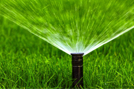 Domestic Water Use Grew 600% Over the Past 50 Years