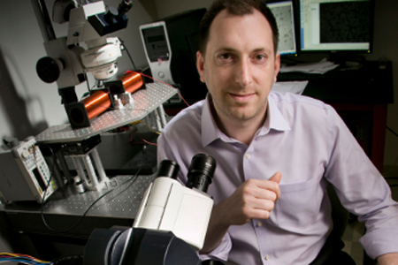 “Chip-Like Device” Could Enable Efficient Single-Cell Analysis