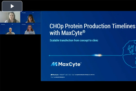 CHOp Your Protein Production Timelines