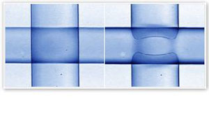 Fluidigm Announces One Billion NanoFlex Valves Shipped