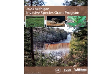 36M In Grants Available For Invasive Species Projects In Michigan
