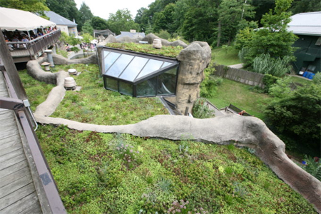 Green Infrastructure Gateway Into Sustainability For Cities