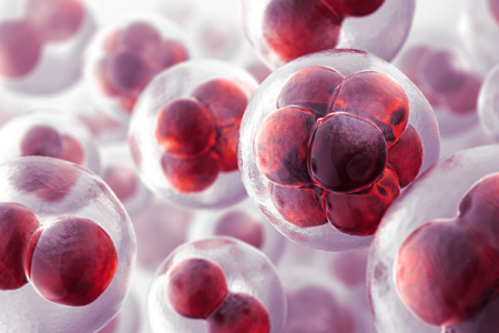 Improving Patient Access To Allogeneic Cell Therapies